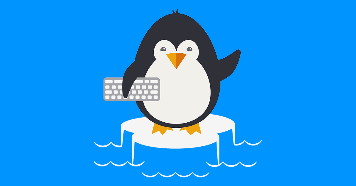 Google's New Possum & Penguin Updates | Blog