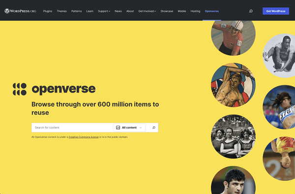 Different Types of Search Engines | Boostability